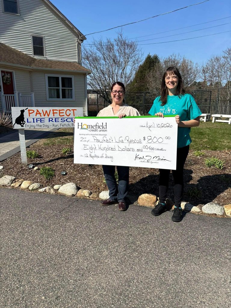 Making a Difference for Rescue Animals with Pawfect Life – Homefield ...